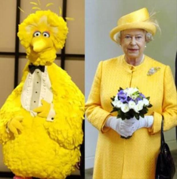 Too Much Crap Not Enough Shovels: Hilarious Celebrity Look-Alikes (20 ...