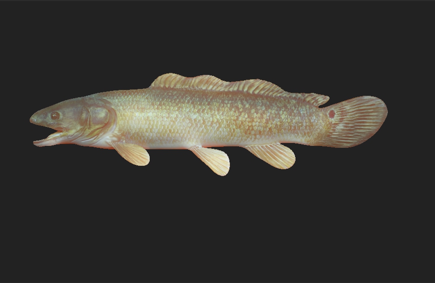 Dinosaur Battlegrounds: Creature Feature 23