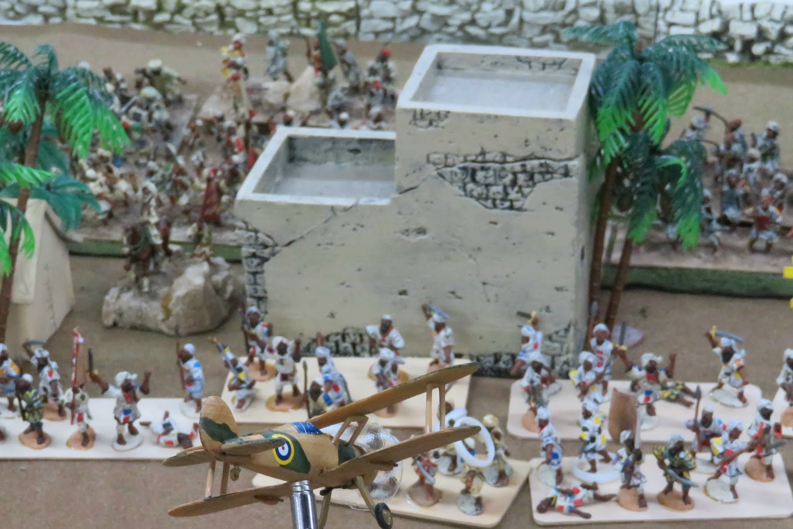 Campaigns of General William Augustus Pettygree: Dervish Swarm Into The ...