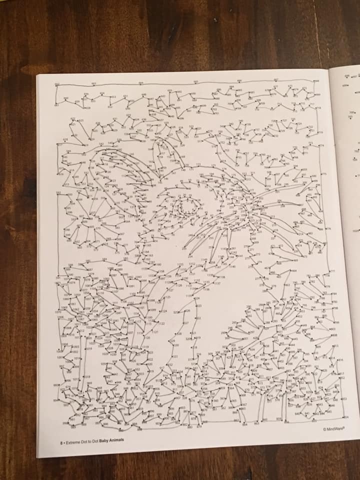 Homeschool Happenings: Extreme Dot to Dot ~ Baby Animals