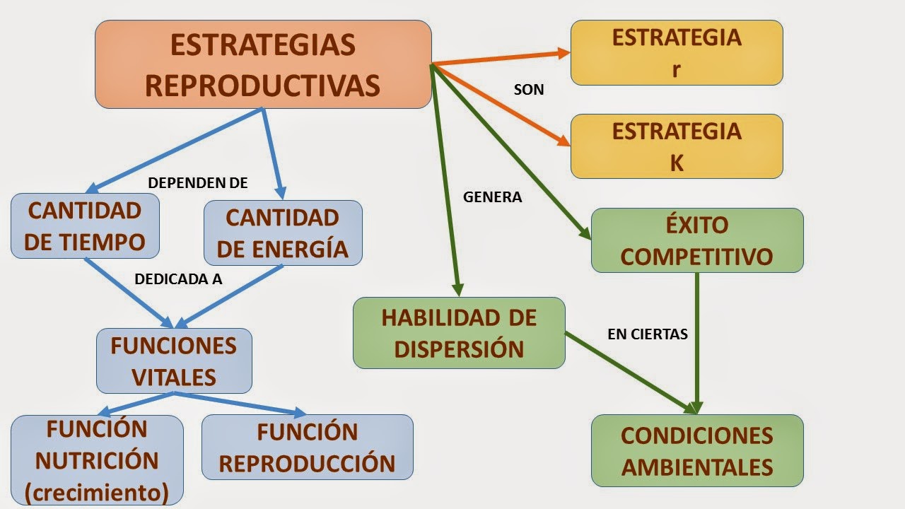 Biología en la secundaria: Estrategias reproductivas