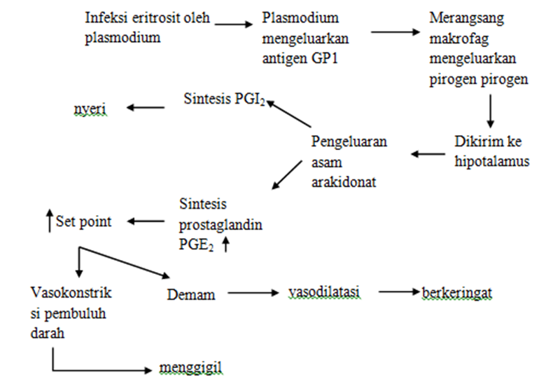 Kasus Malaria, [ kedokteran-diktrus ], | Pendidikan