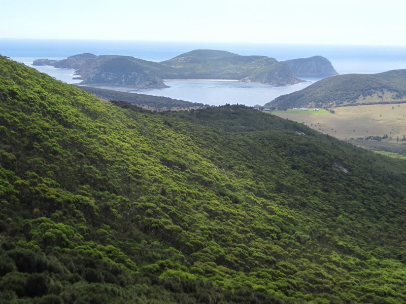 Kayaks across Bass Strait: On Erith Island