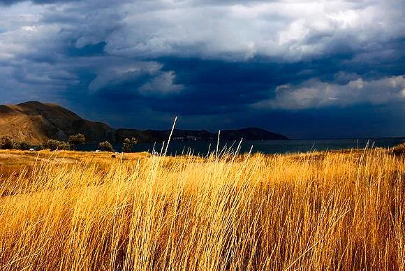 Jenis Iklim dan Pengaruhnya Bagi Kehidupan - Guru Geografi