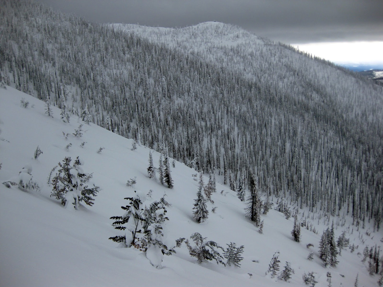 MT Adventures: Morrell Mountain powder exploration