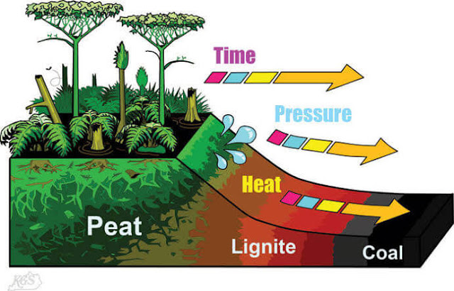 FORMATION OF COAL, CLASSIFICATION OF COAL - Chemical World