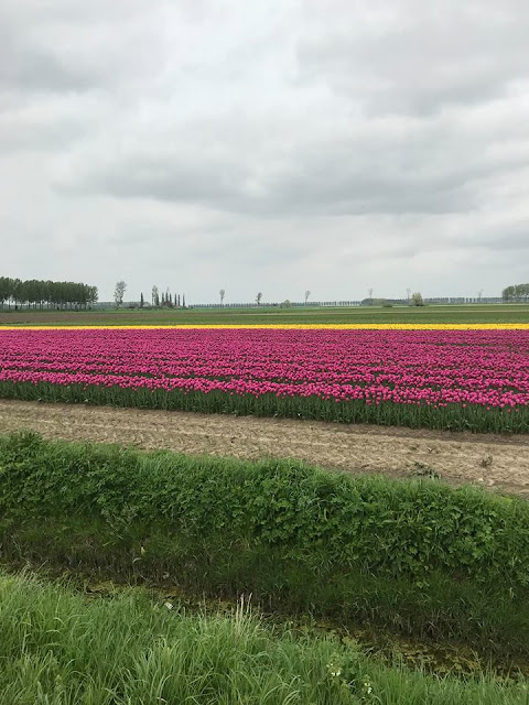 Dorpen en Steden van Nederland: Clinge (Zeeland)