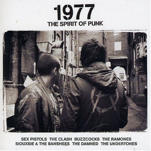 LARUTADELMAL: 1977 The Spirit Of Punk