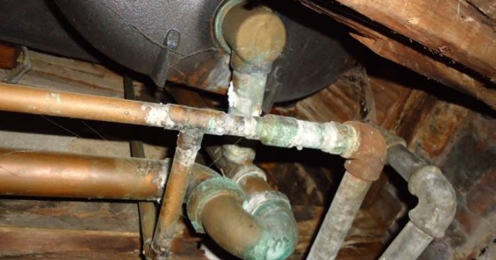 Lean Startup Life: 5 Ways To Stop Mold Growth In Pipes And Drains