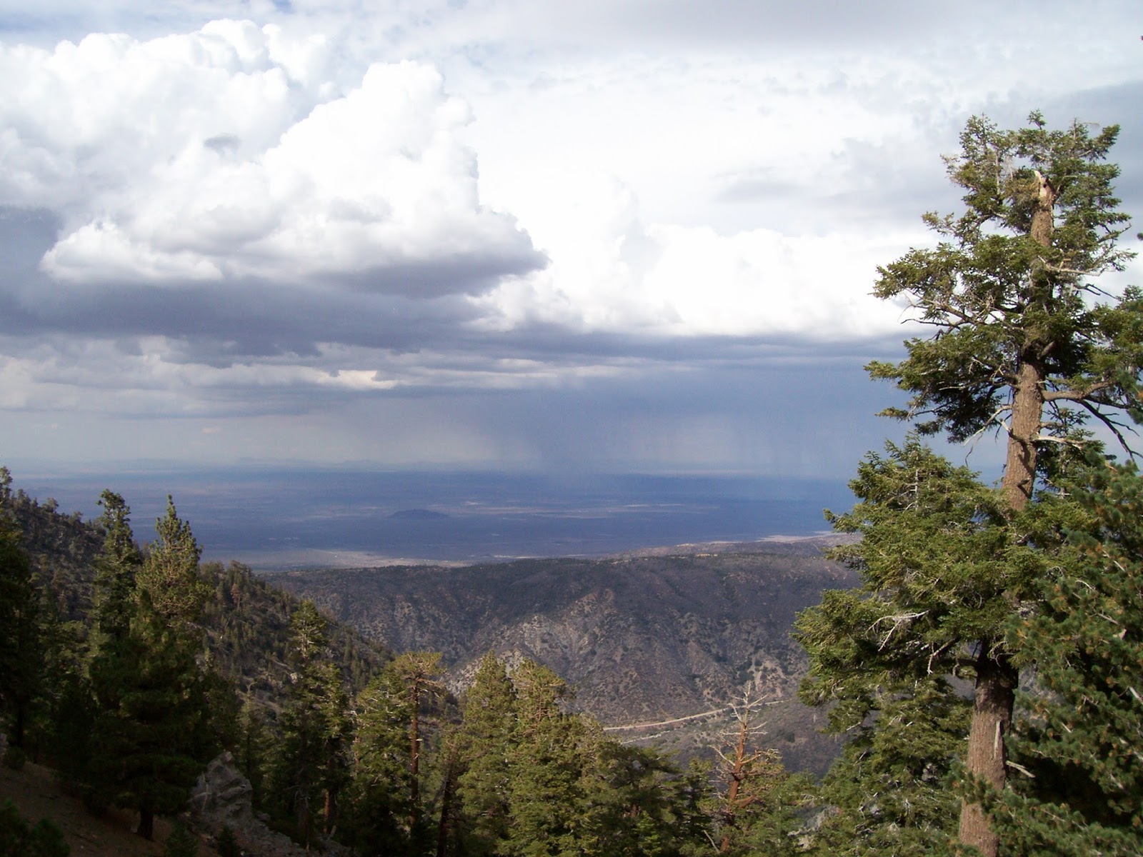 The Ultimate Road Trip: Driving Across America C2C: Angeles Crest Highway.