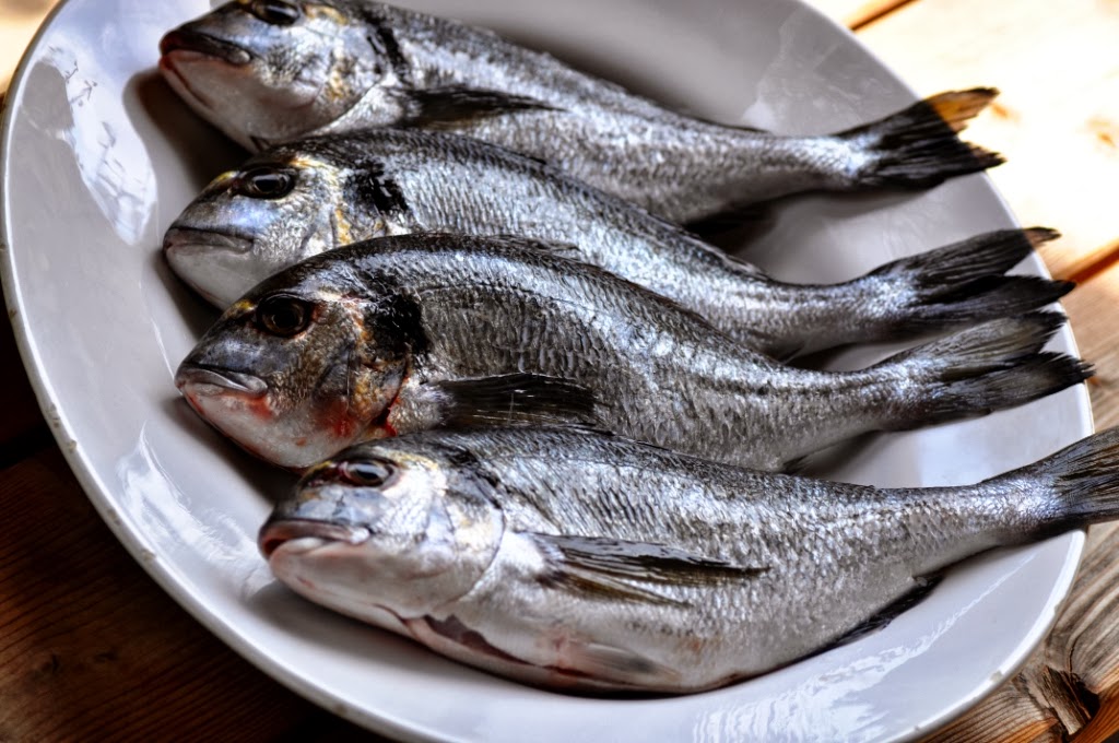 Bretonische Doraden - Kubiena - Kochblog