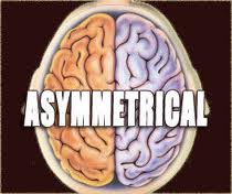 Don Mangus' "It Only Hurts When I Smirk.": Brain's Asymmetrical Shape ...