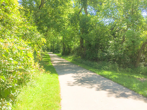Wisconsin Explorer: The Bugline Trail