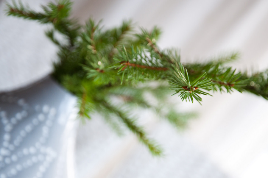 terje.talpsepp. DESIGN & LIFESTYLE PHOTOGRAPHER: valge nagu lumi