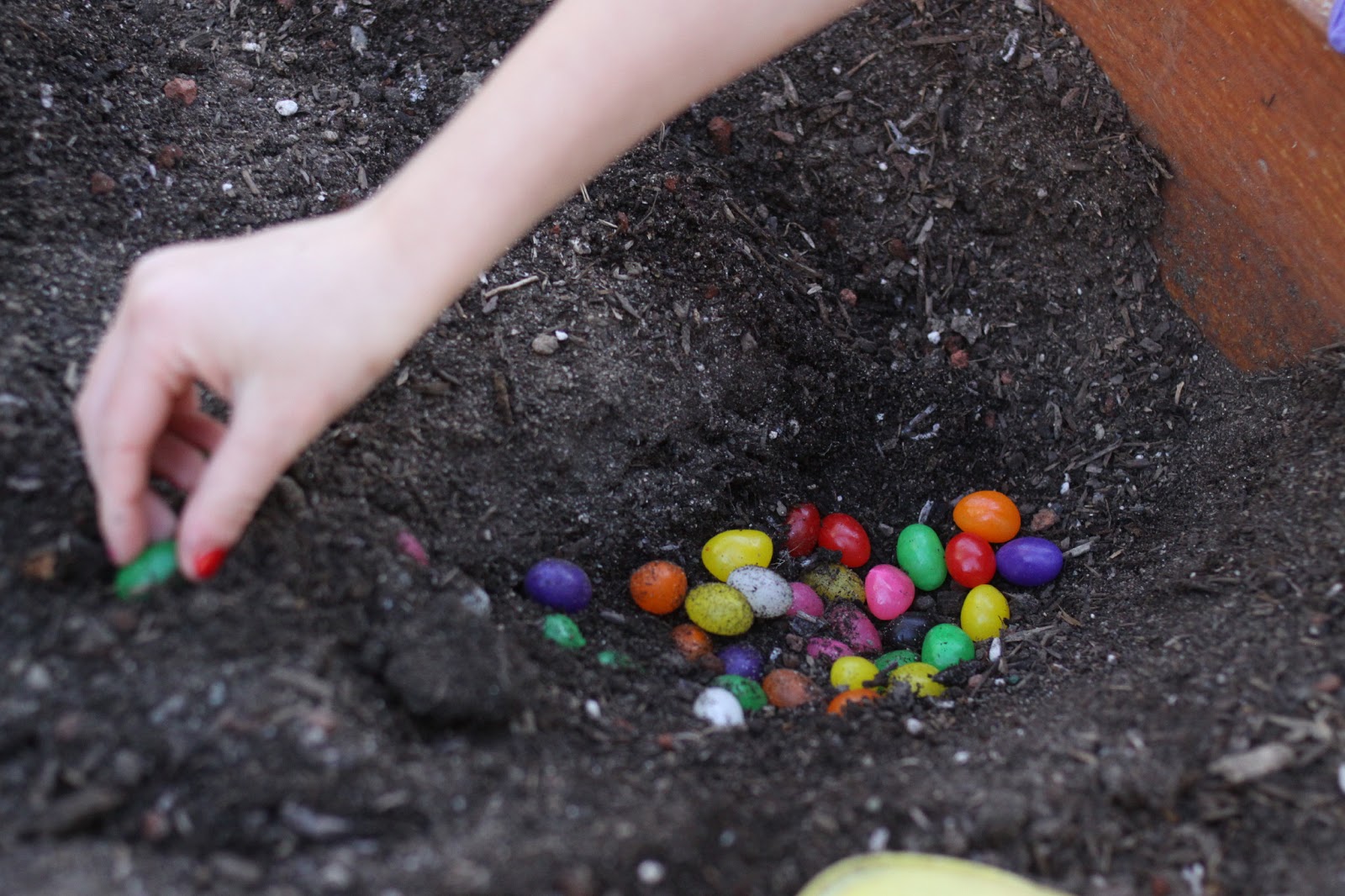 The Larson Lingo: Some of Our Favorite Easter Activities