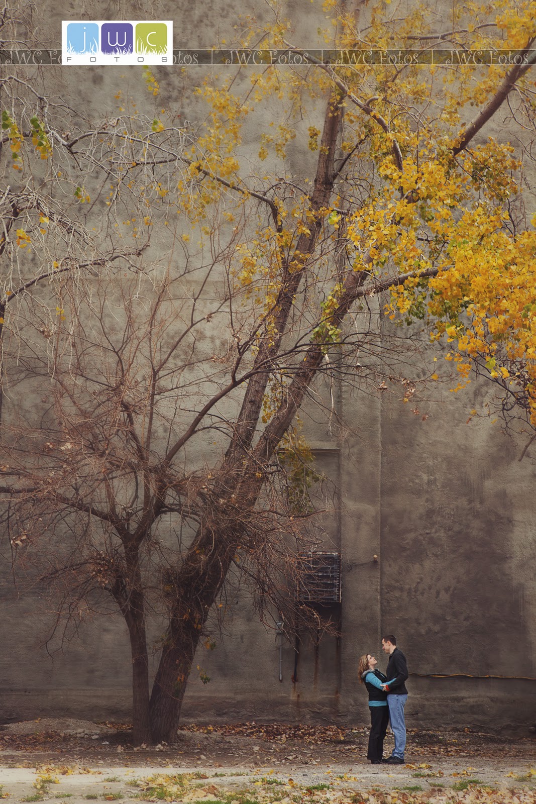 JWC Fotos: Ingrid & Curtis... sitting in a tree. Kiss-ing.