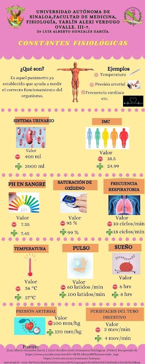 Infografía Constantes Fisiológicas