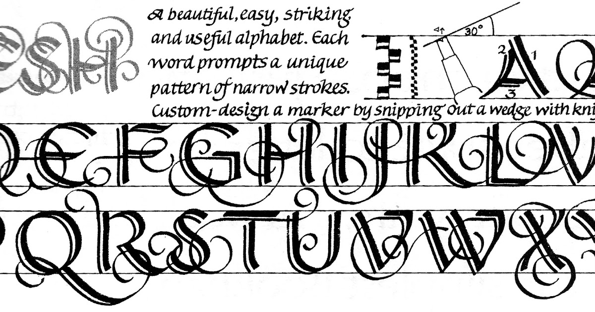 Margaret Shepherd: Calligraphy Blog: Calligraphy Every Day 6: Mesh