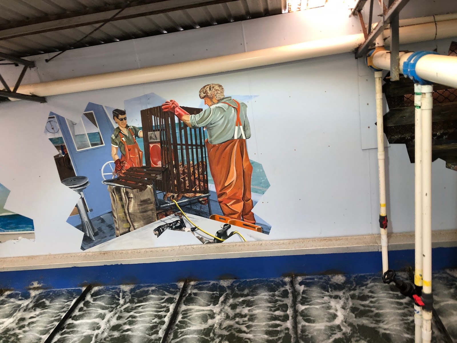 Helen's Kitchen: 西澳粉紅湖八天之旅 (16-23/11/2019) - Lobster Shack, Blue House ...