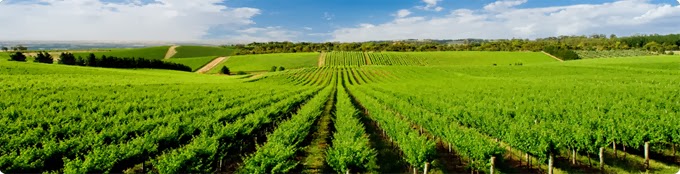 conPasoChic: Sorteo VINAE