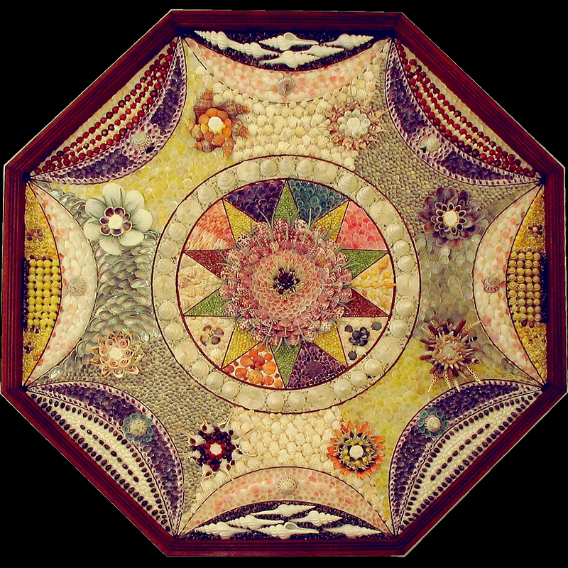 Something: Shell creations