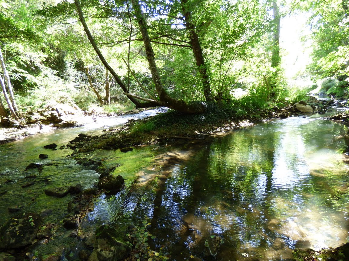POR LA MONTAÑA ALAVESA: VÍA VERDE DEL VASCO-NAVARRO Y SENDA FLUVIAL DEL ...