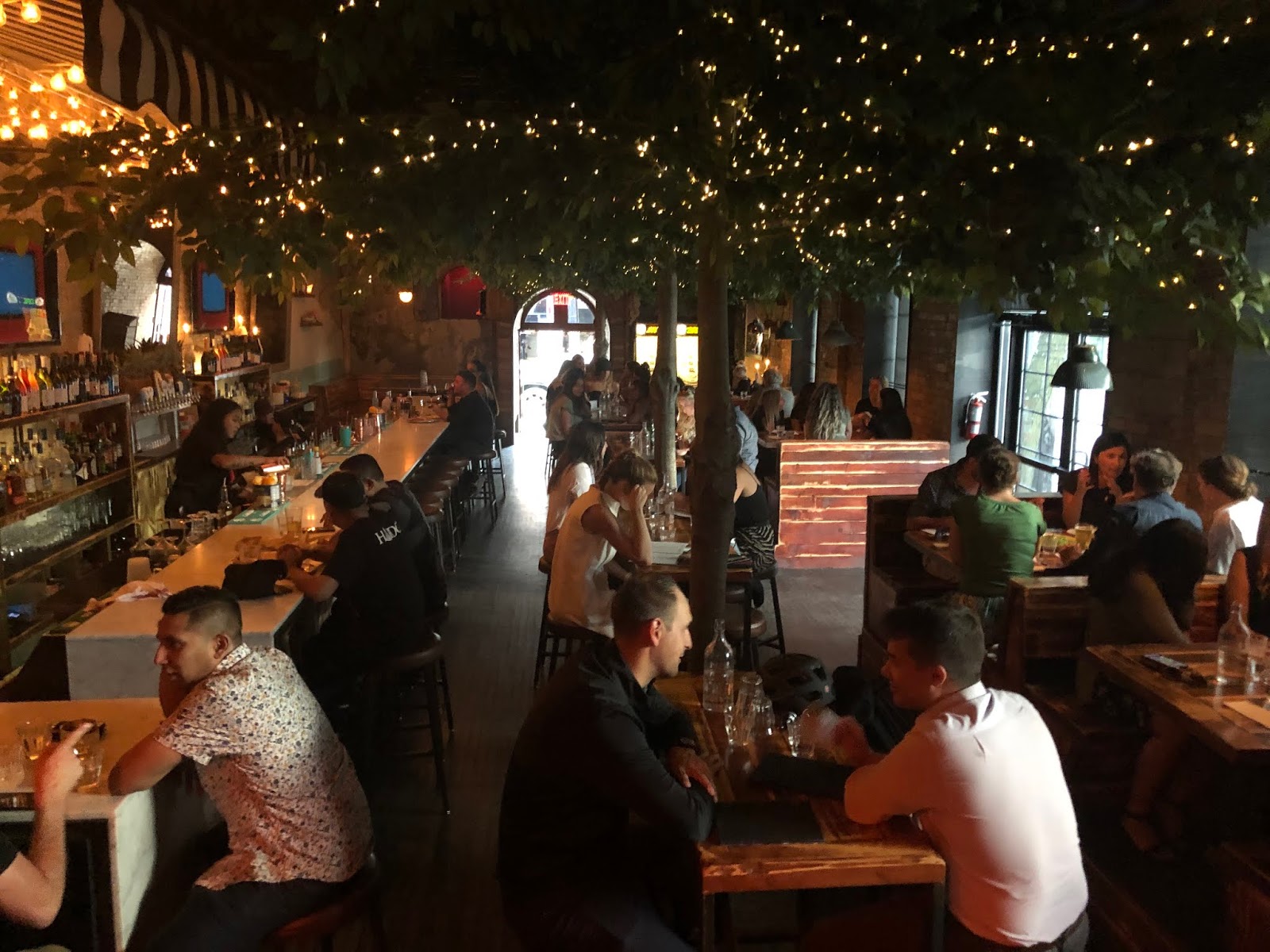 Teena in Toronto: Bar Poet, Toronto, ON