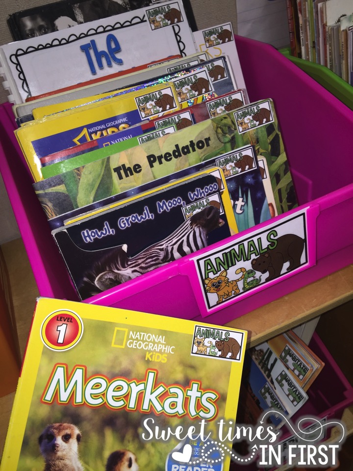 Sweet Times in First: 5 Steps for Organizing Your Classroom Library