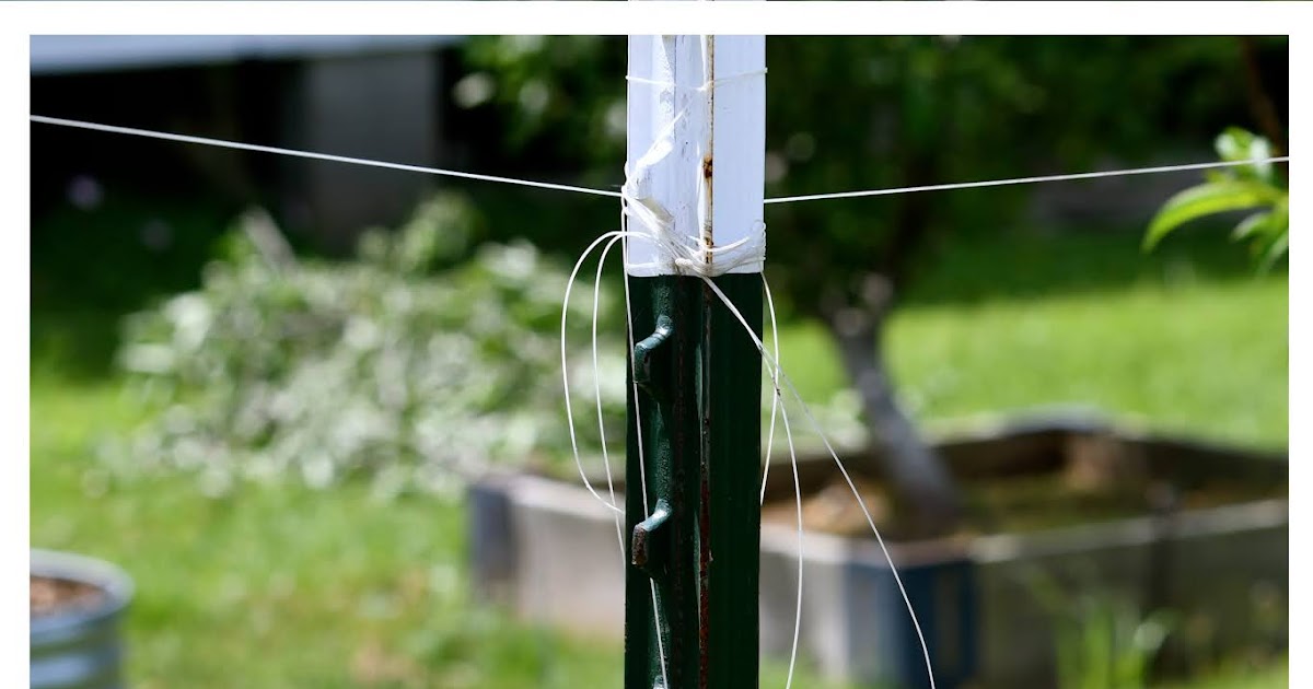 Two Men and a Little Farm: RESTRINGING THE DEER FENCING