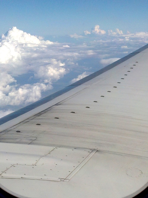 TYWKIWDBI ("Tai-Wiki-Widbee"): Those little bumps on the wings of airplanes