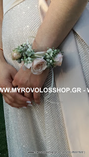 ΓΑΜΟΣ ΚΤΗΜΑ ΕΡΩΦΙΛΗ ΤΑΤΟΙ 2, ΠΑΙΟΝΙΕΣ, ΓΙΡΛΑΝΤΑ ΠΟΡΤΑΣ, ΑΝΘΟΔΕΣΜΕΣ ΣΤΙΣ ...