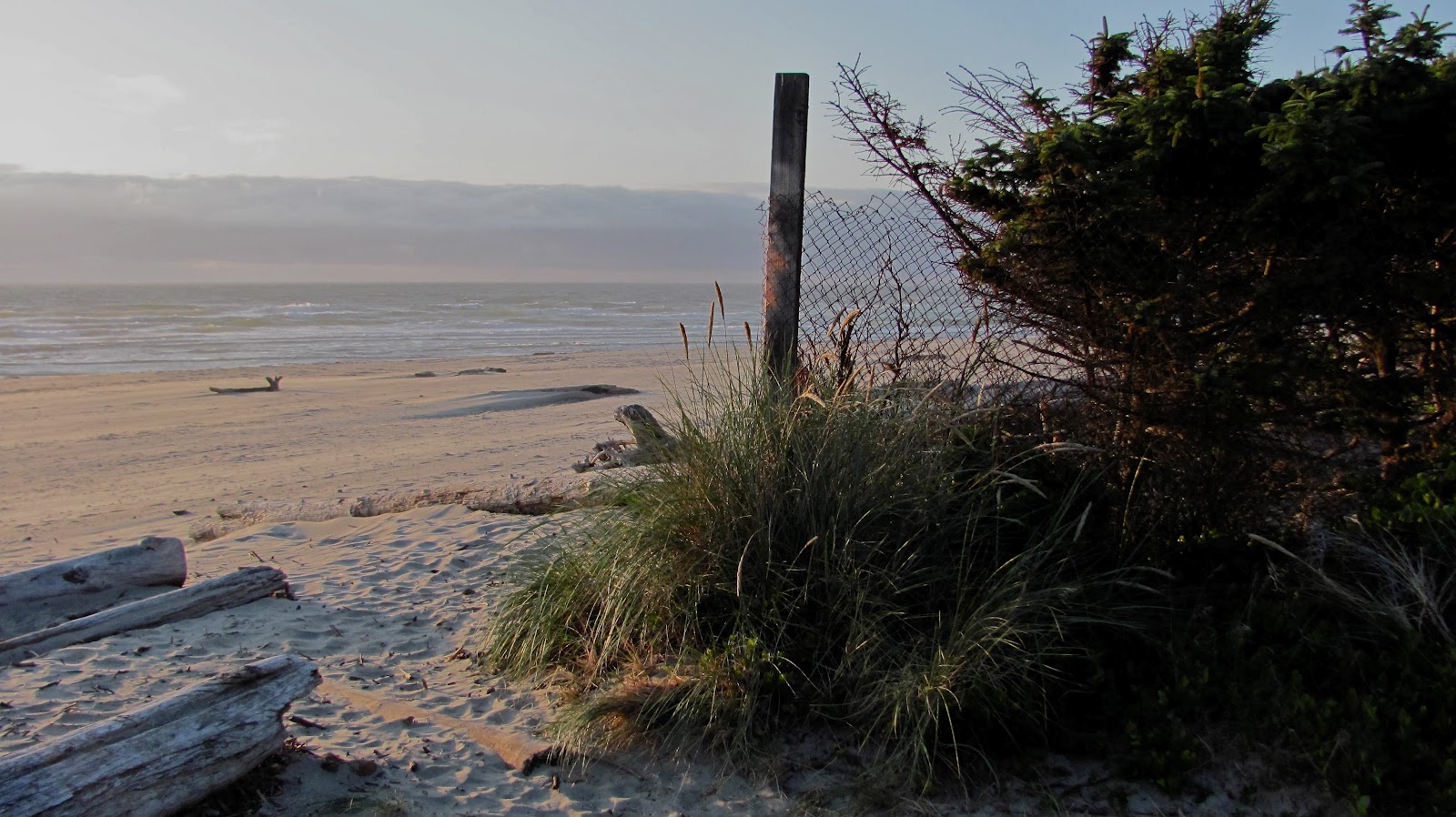 IrelandBrady - Musings To Ponder: BarView Jetty Campground, Tillamook ...