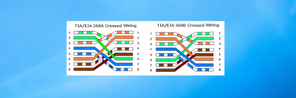 Langkah - langkah membuat Kabel UTP