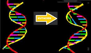 LAS MUTACIONES