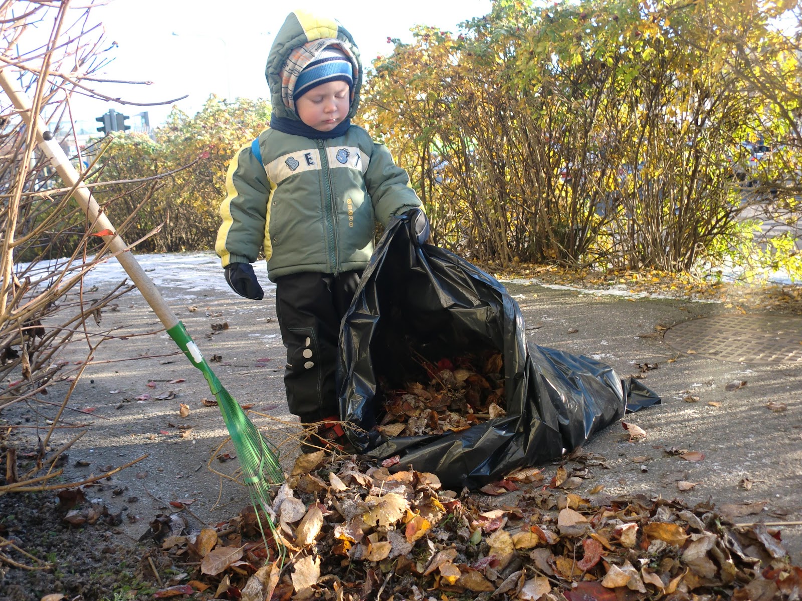 Foreigner in Finland: Talkoot