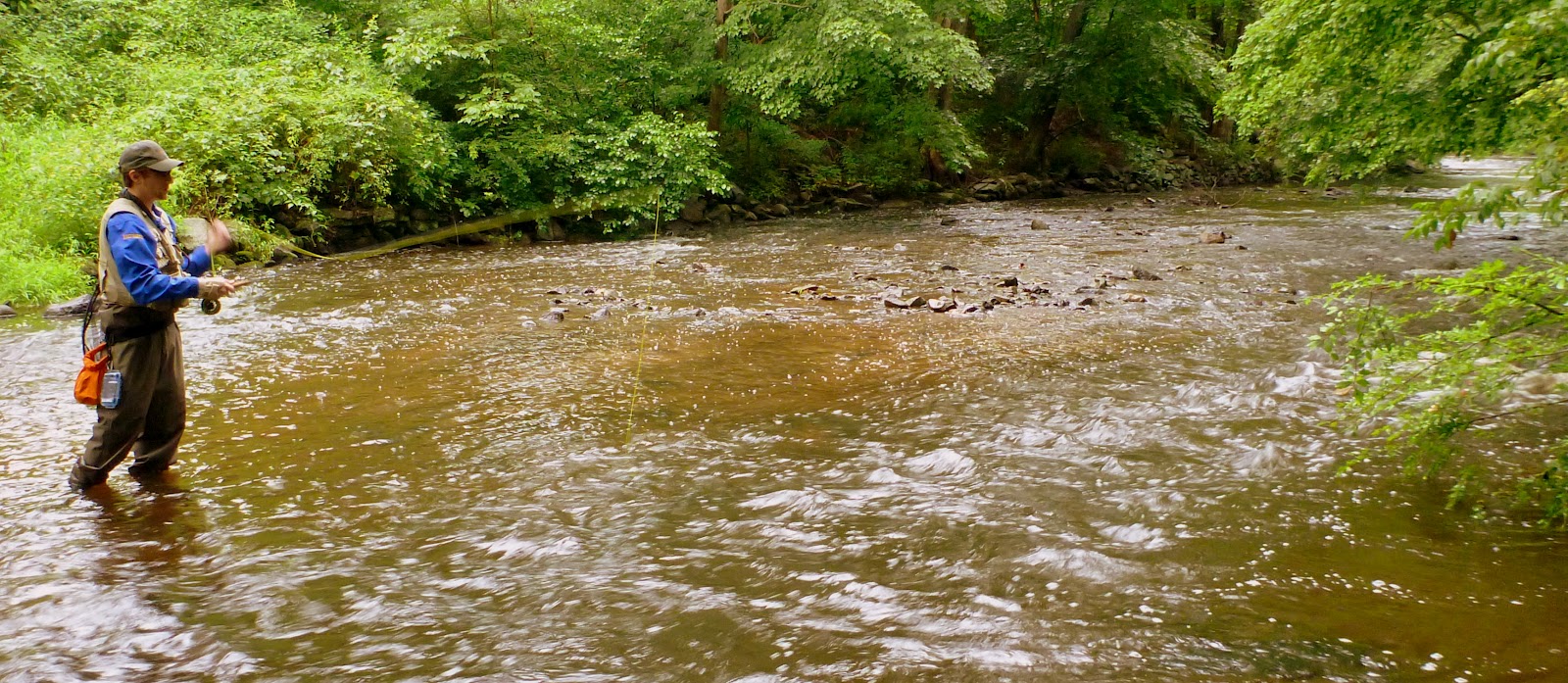 Fly Fishing Blog Sipping Emergers : August 2012