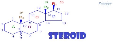 Chemistry Education: Keanekaragaman Struktur Kimia Steroid