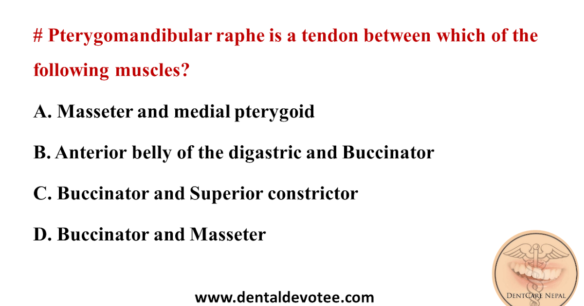 Dentosphere : World of Dentistry: Pterygomandibular raphe is a tendon ...