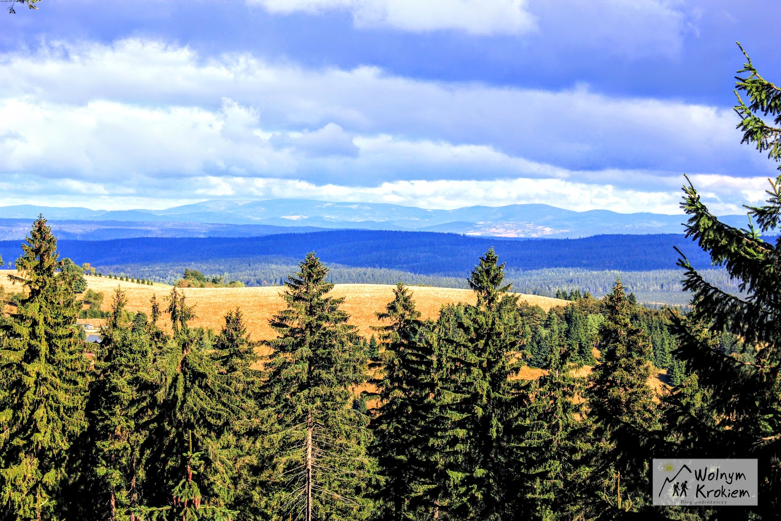 Velka Destna (Wielka Desztna)- Najwyższy Szczyt Gór Orlickich