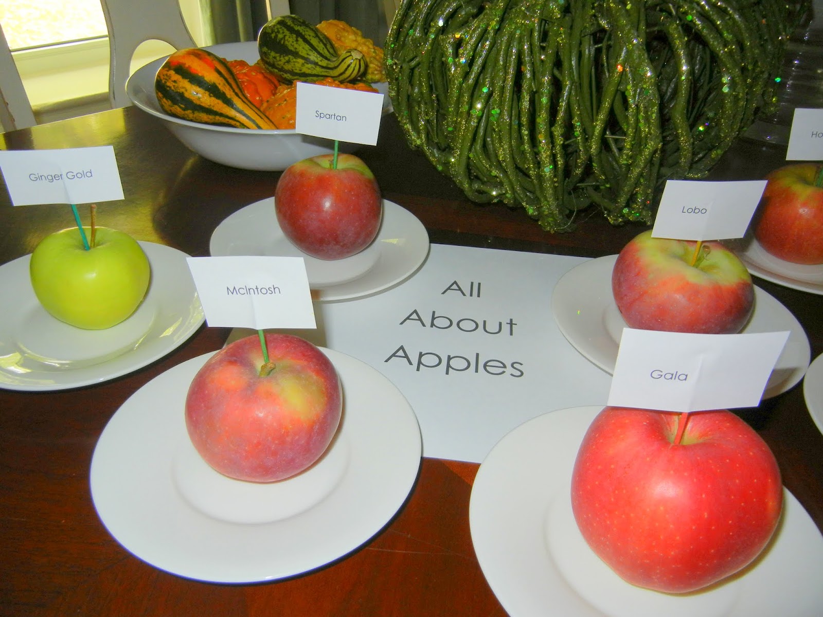 Fall Apple Tasting Activity With Kids, Fall Science & Nature Activities ...