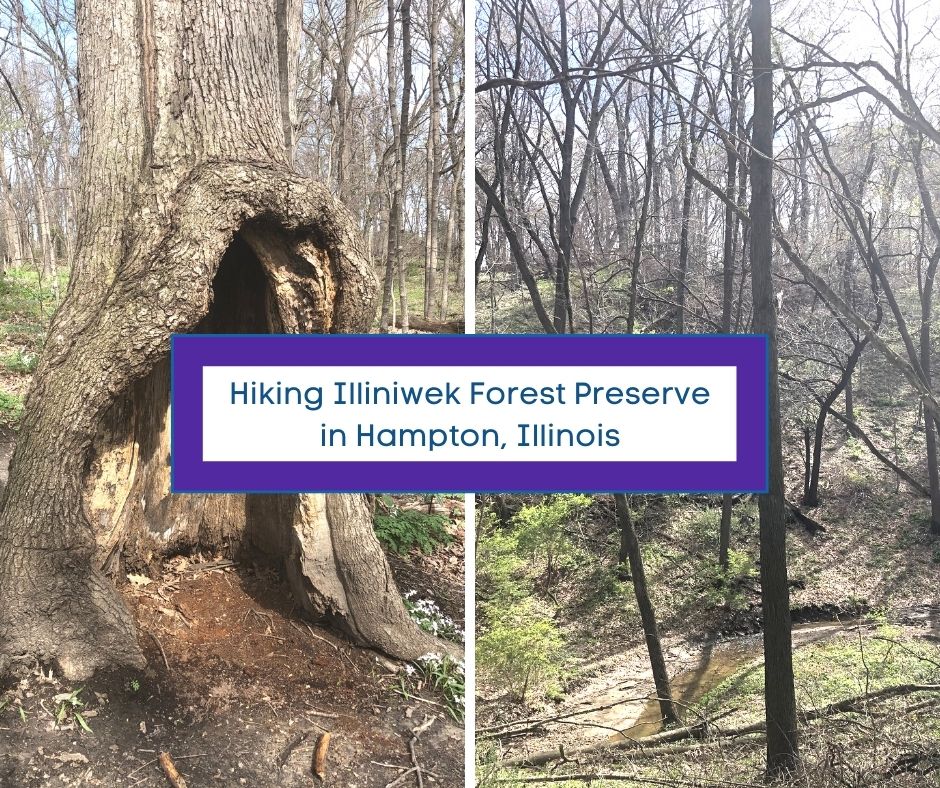 A Little Time and a Keyboard: Ravines, Wildflowers and Views Sparkle at ...