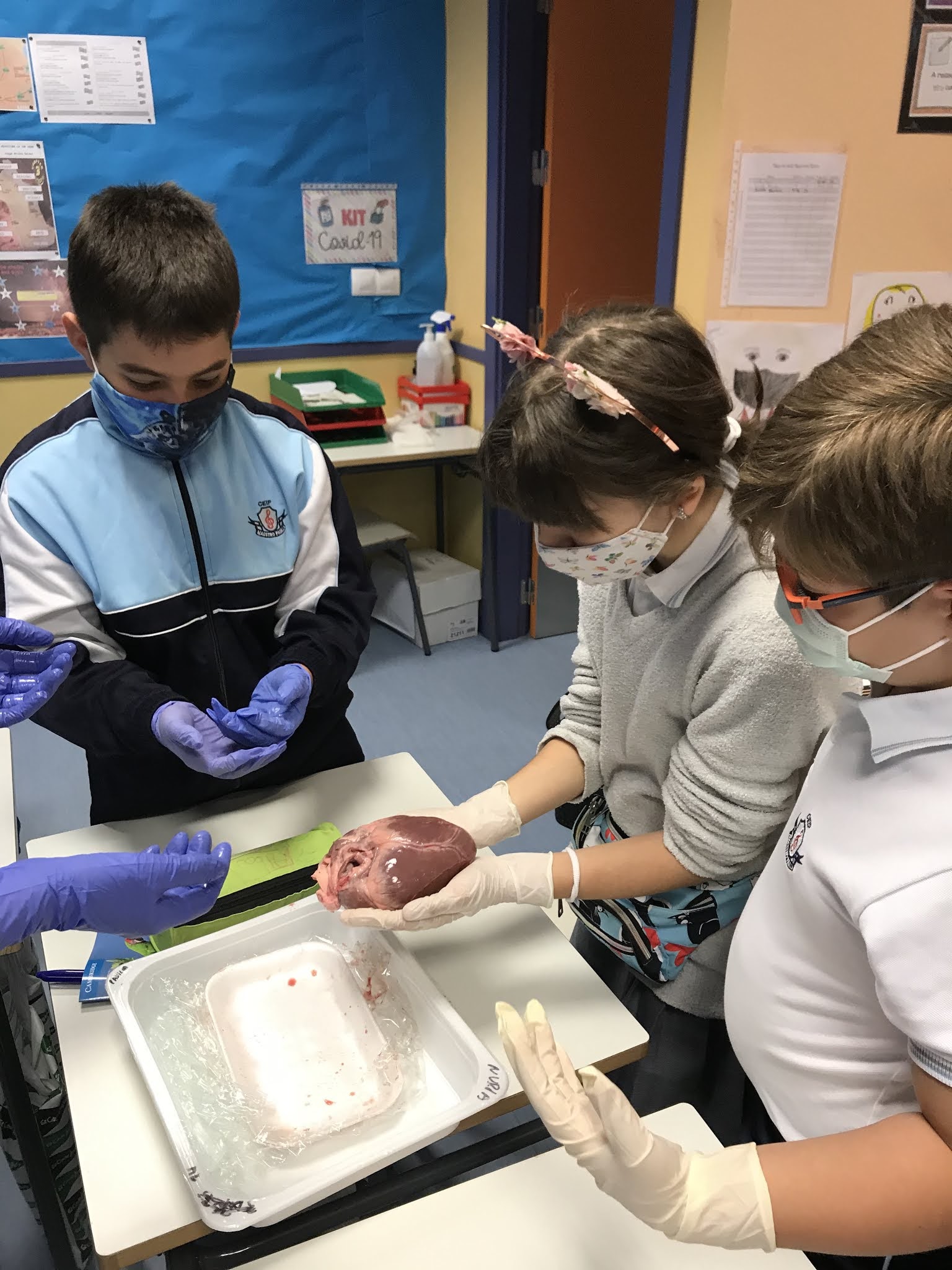 Los cuartos del Padilla: Laboratorio de Science