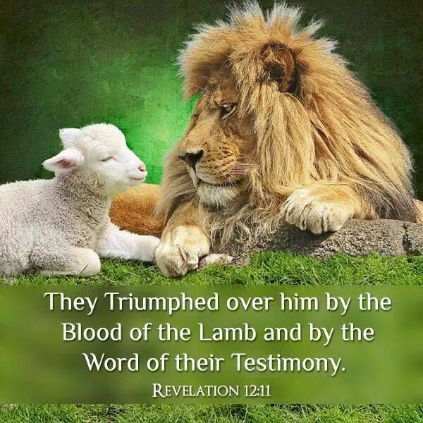 How to live in Victory! {Revelation 12} - Women in the Word