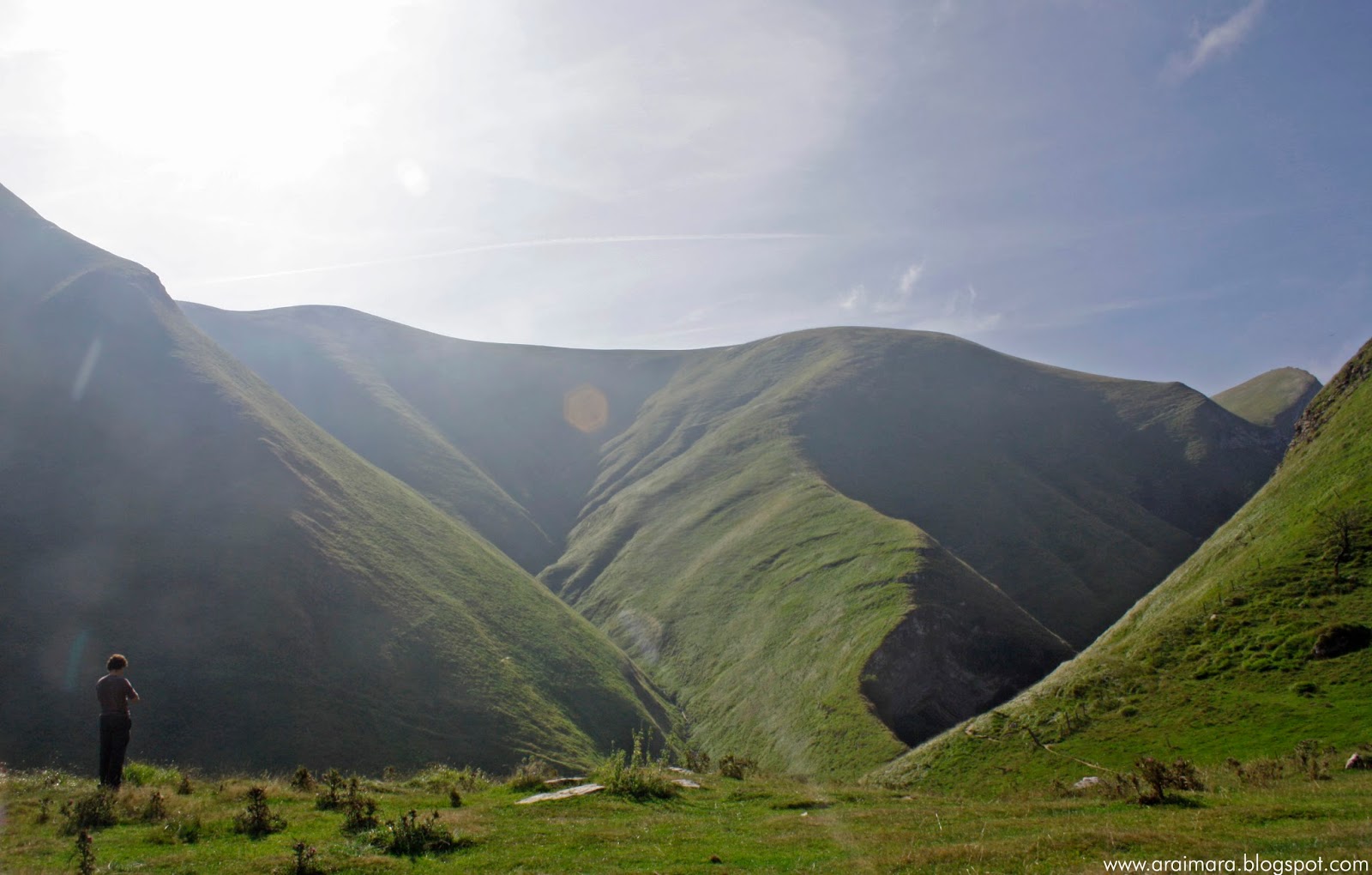 araimara: Irati, isiltasunaren basoa / Irati, el bosque del silencio