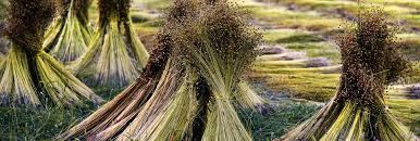 What is Linen Made of