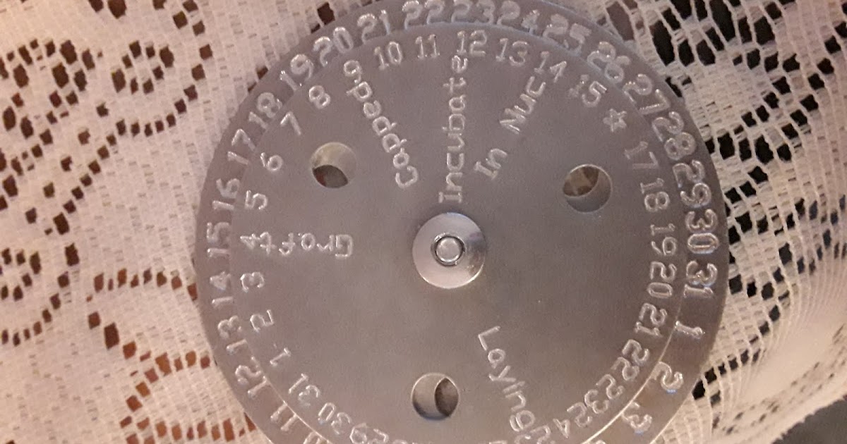 My personal blog: How to use the queen disk.