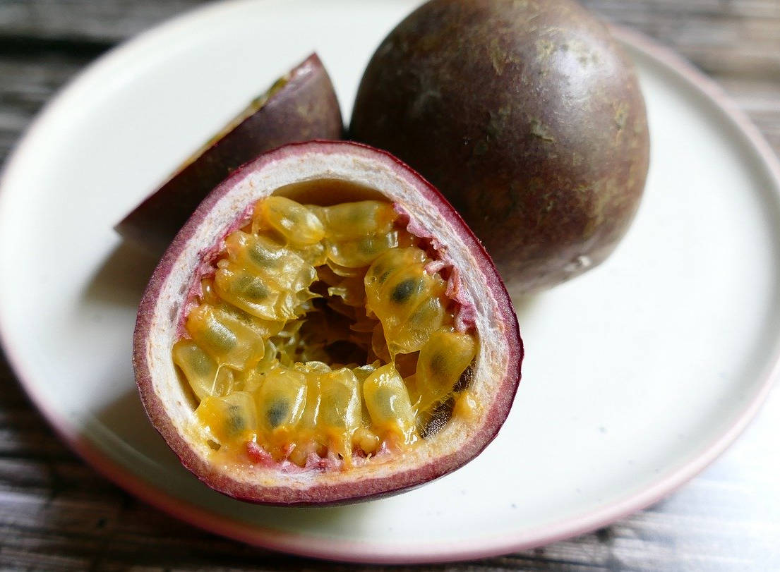 BELAJAR CARA MENANAM MARKISA | Tips Petani