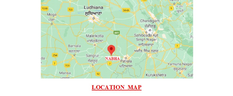 Nabha princely state court fee/revenue/postage stamp