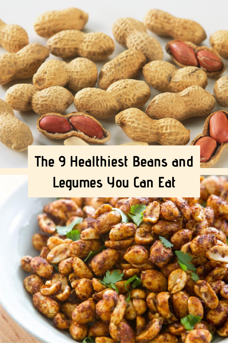 Which Beans Have The Most Protein