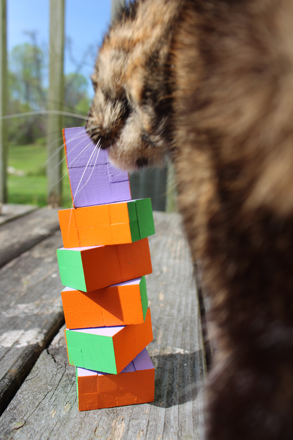 Craft Knife: A DIY Binomial Cube/Trinomial Cube Manipulative